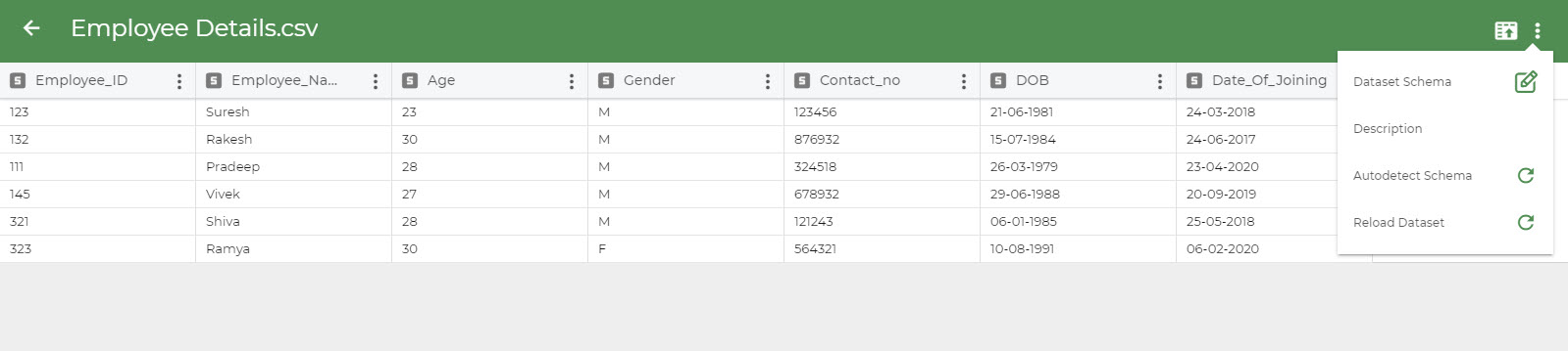 CSV Dataset | JIFFY.ai