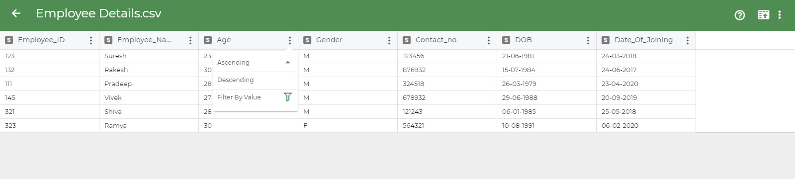 CSV Dataset | JIFFY.ai